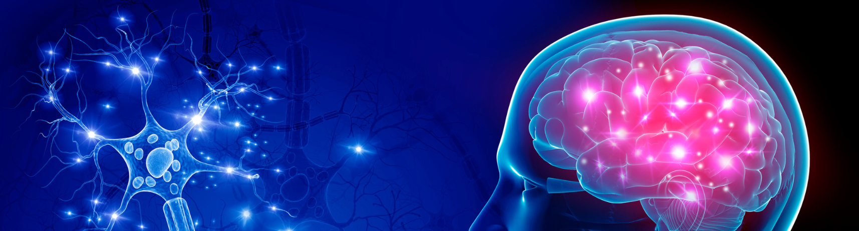 | The Radiosurgery Society